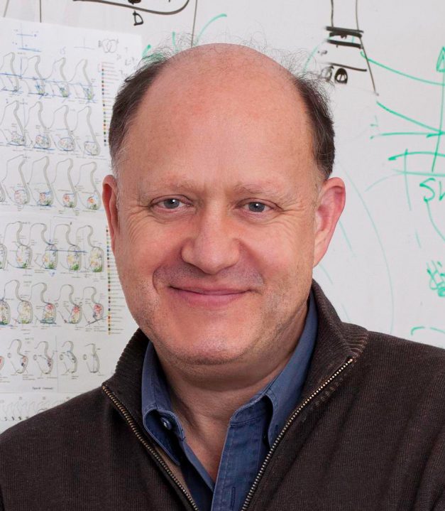 Thomas M. Jessell - Rita Allen Foundation