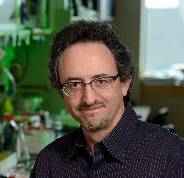 Joel Pomerantz: Immunity’s Molecular Dance - Rita Allen Foundation