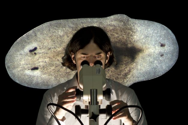 Peter Reddien: Riveted by Regeneration - Rita Allen Foundation