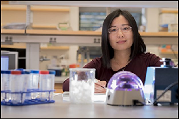 Li Zhao - Rita Allen Foundation