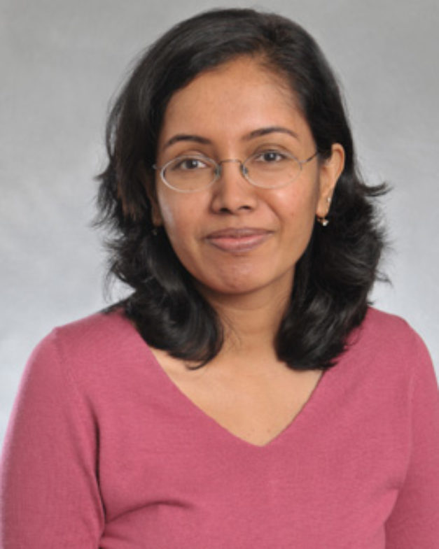 Seena Ajit: A Passion for Learning leads to Industry, Academia, and ...
