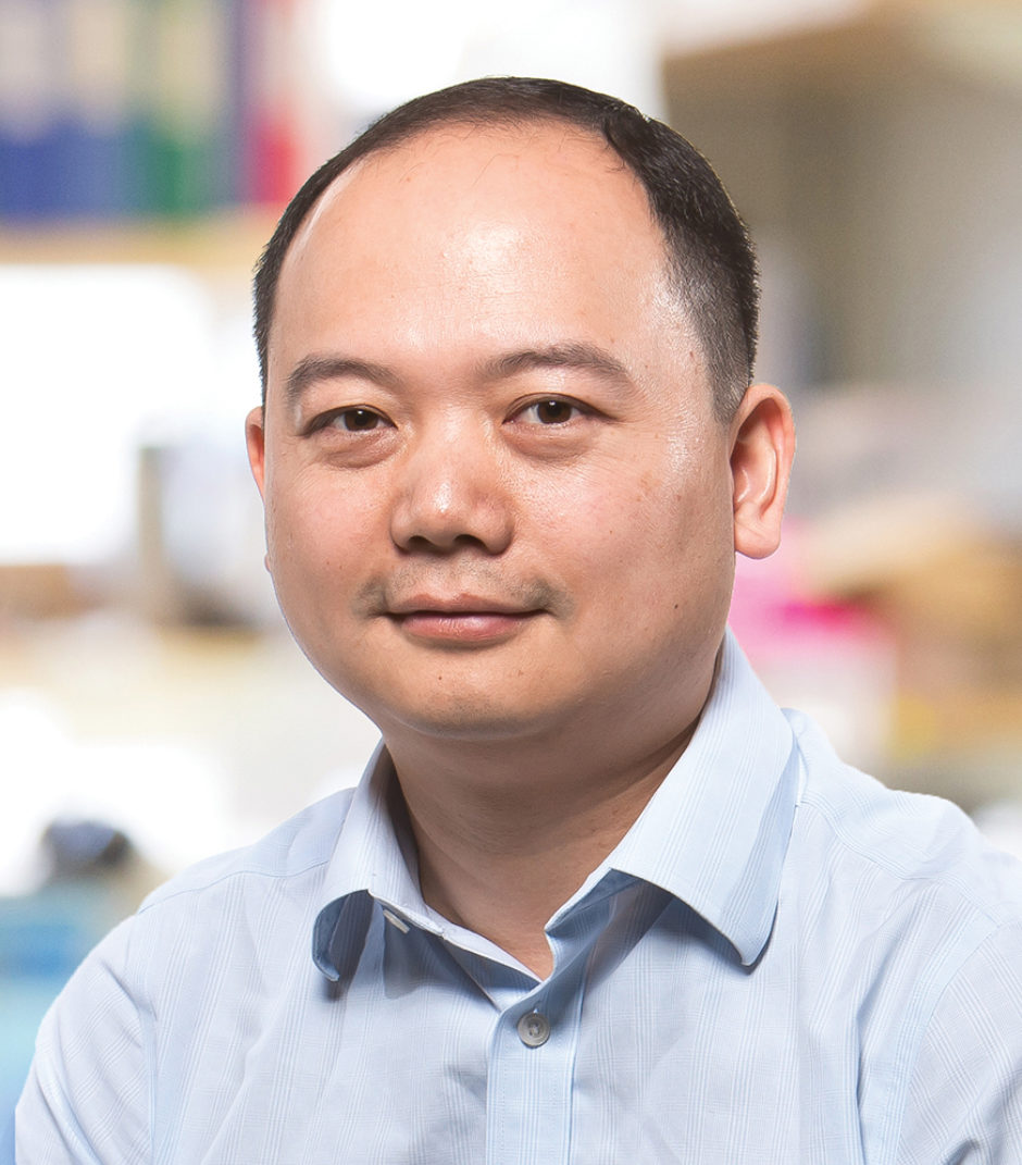 Ye Zheng: Taking Risks to Understand Regulatory T Cells - Rita Allen ...