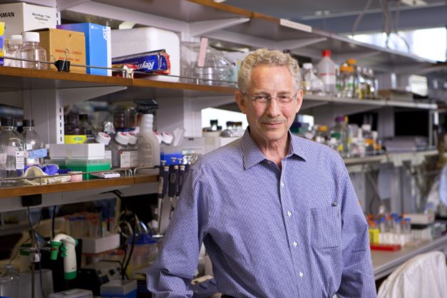 Carl F. Nathan Joins Rita Allen Foundation Board of Directors - Rita ...