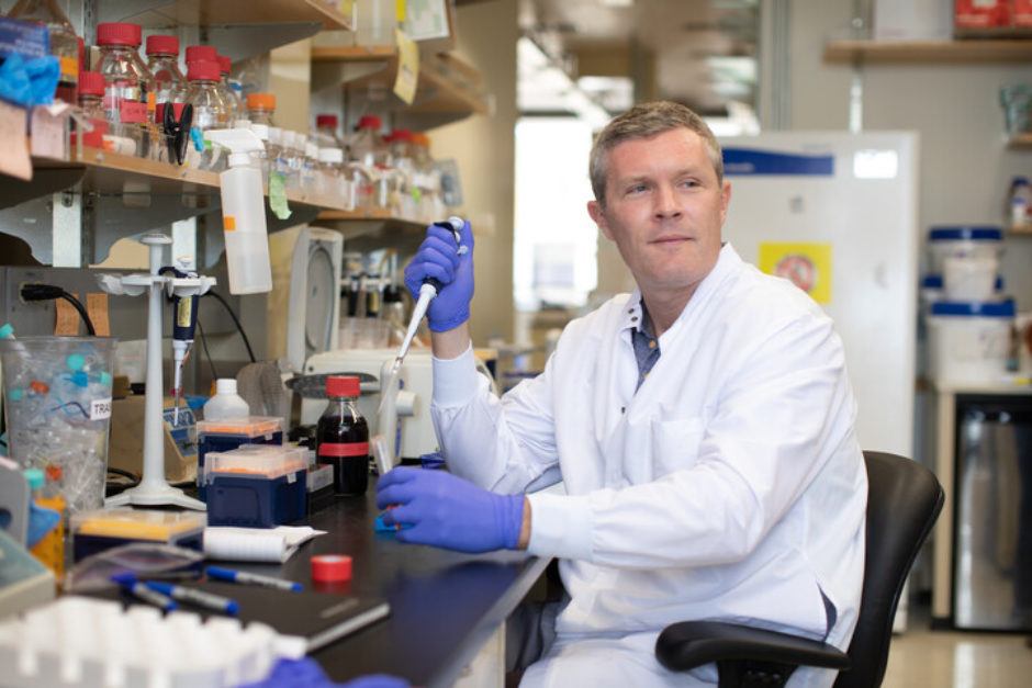 Announcing the 2023 Rita Allen Foundation Scholars - Rita Allen Foundation